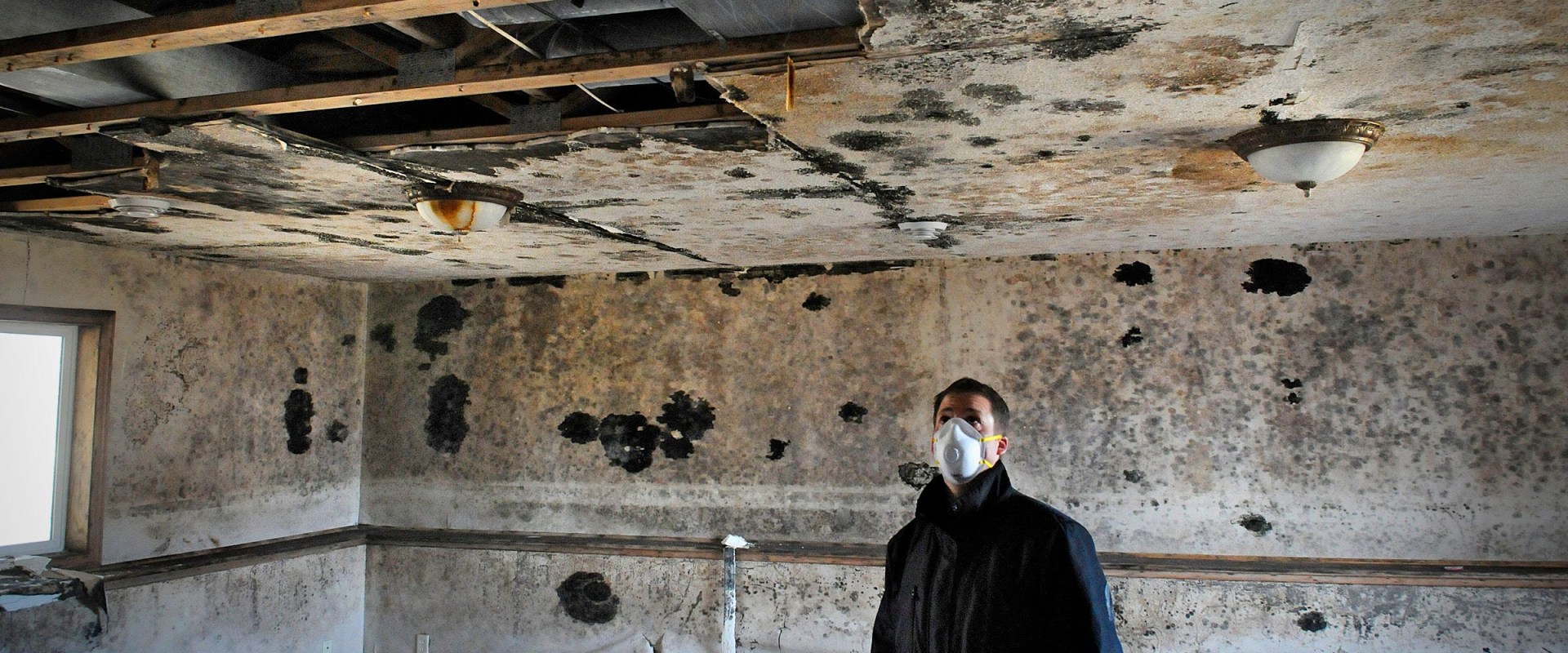 Can mold ever be removed from a house?